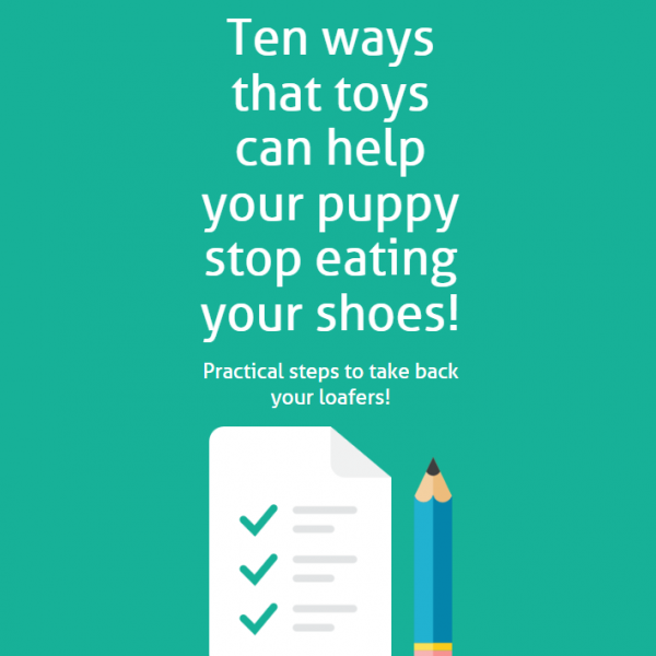 Create a Cheat Sheet For Your Avatar